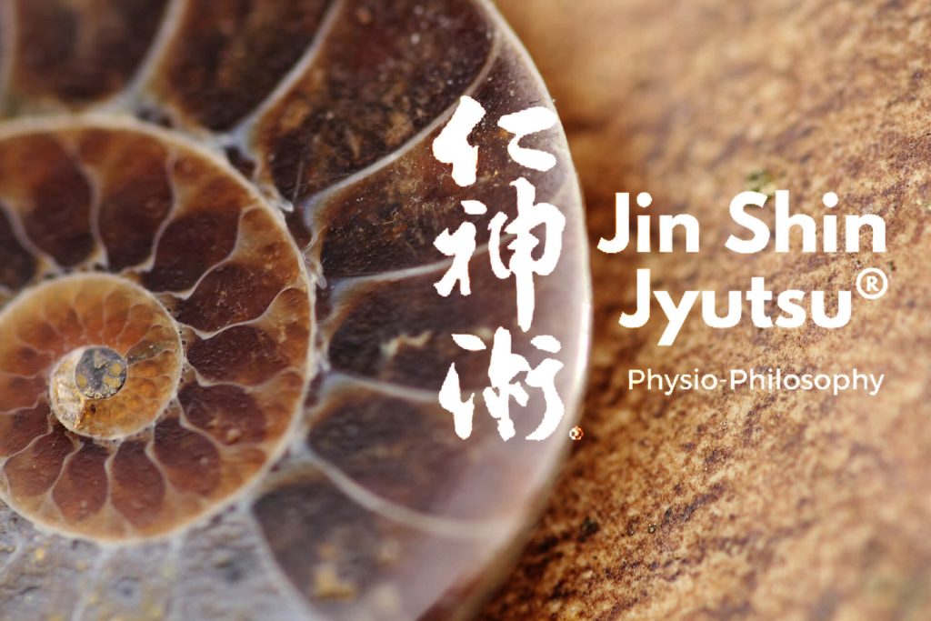 Healing Art: Jin Shin Jyutsu – Julianne Dow